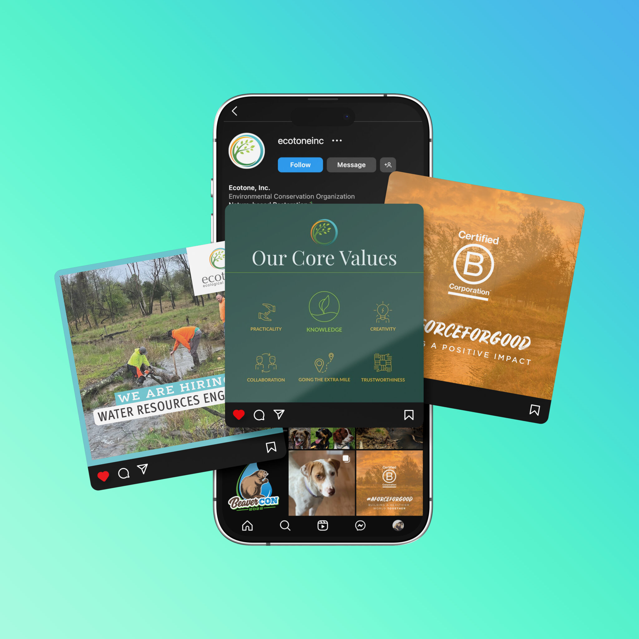 Ecotone Social Media - Main St. Design