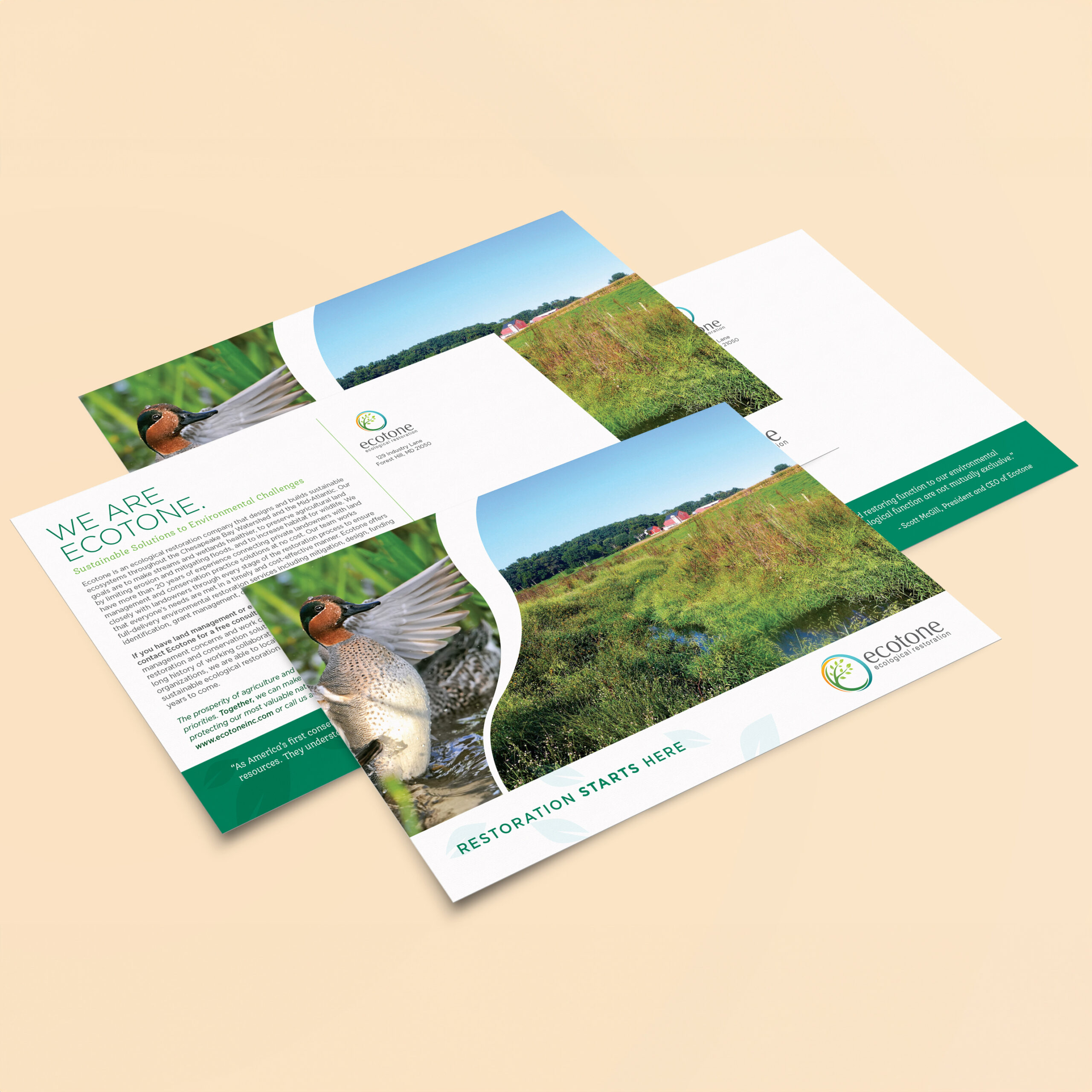 Ecotone Postcards - Main St. Design